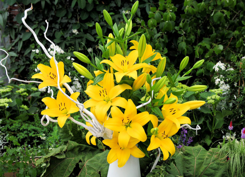 Availability – Oregon Flowers