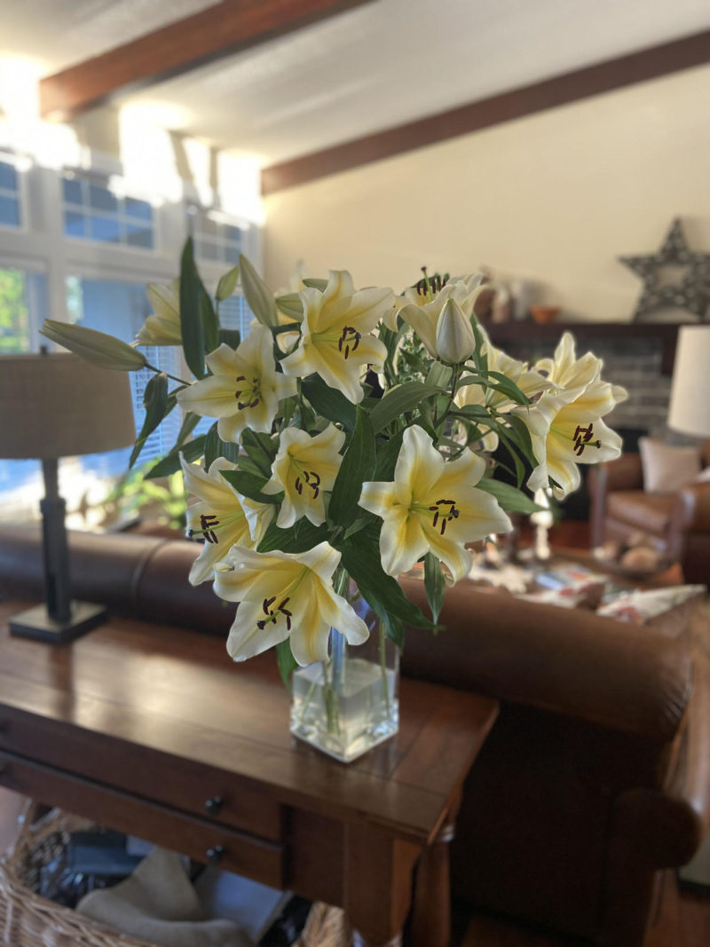 Availability – Oregon Flowers