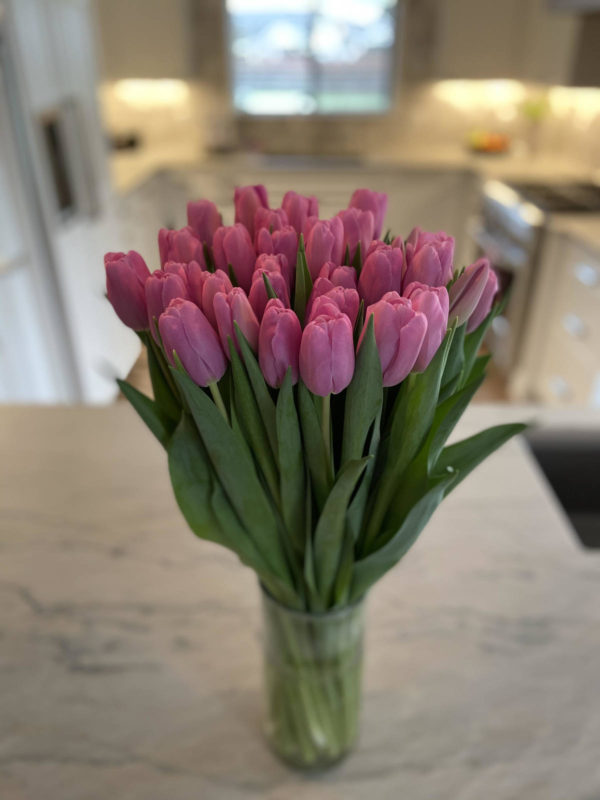 tulips – Oregon Flowers